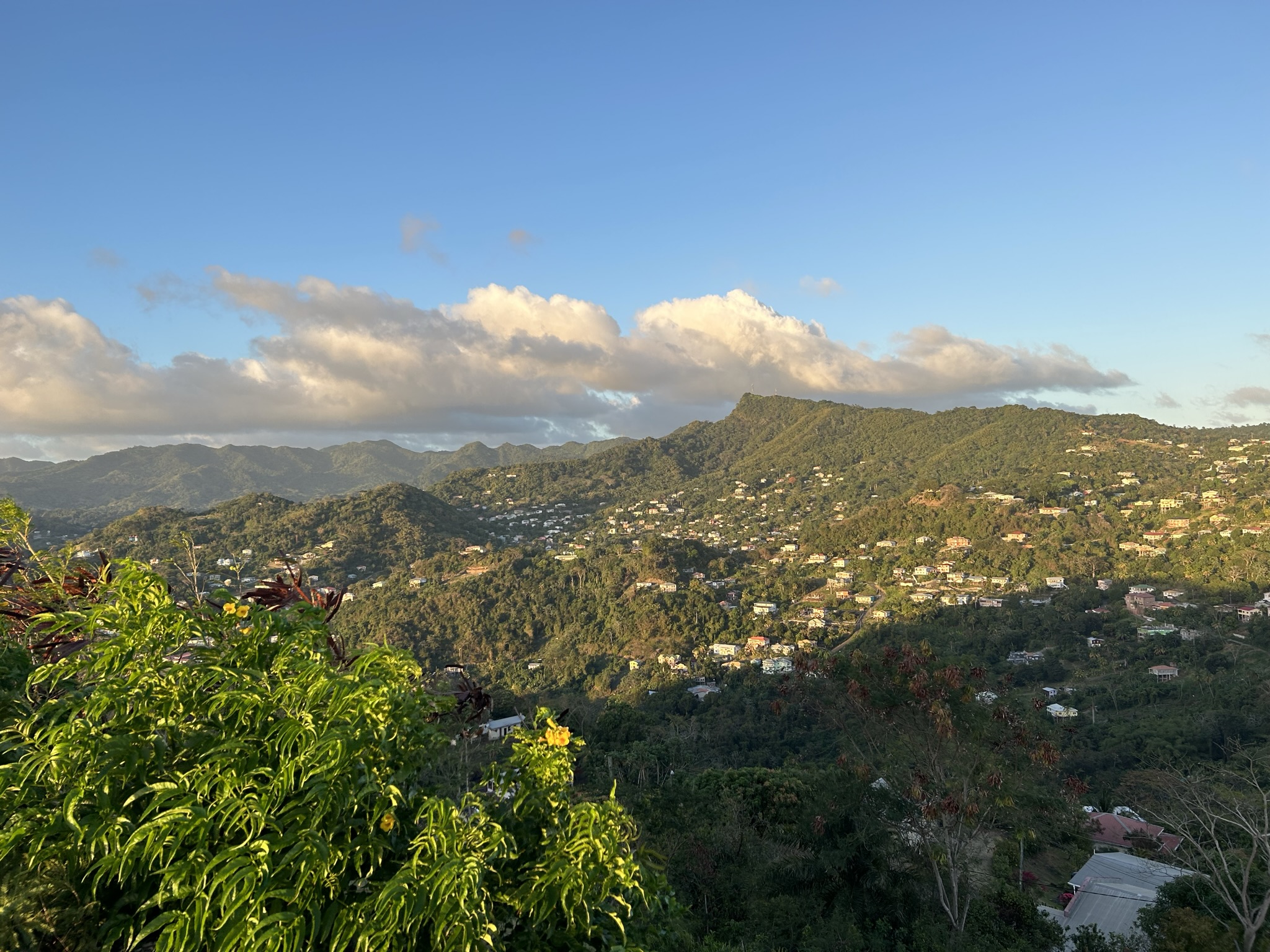 Nine Days of Grenada – the Dig and Flow
